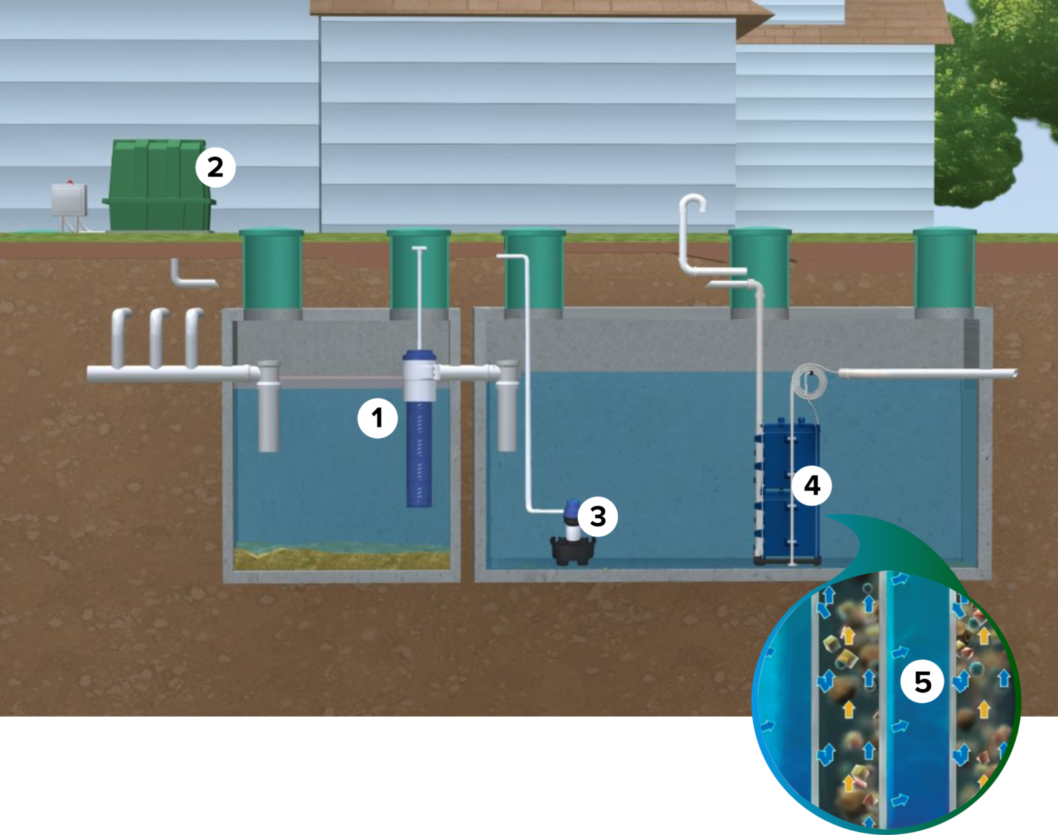 Como funcionan los sistemas BioBarrier® – Rumbos – Ingeniería y Servicios