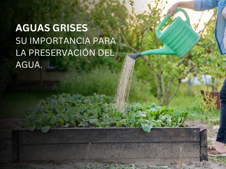 Aguas grises: Su importancia para la preservación del agua – Rumbos ...